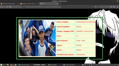 Biodata Diri Dengan Css Yulians Blc Telkom
