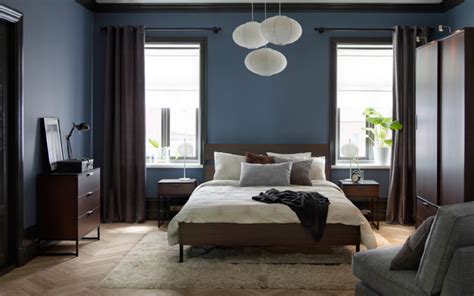 Bed Bug Interceptor Maintenance Sensci