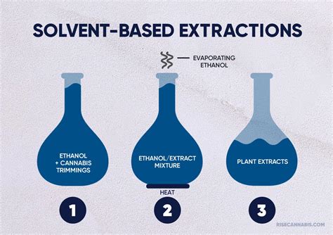 Solvent Vs Solventless Extracts Decoding Cannabis Concentrates Weed
