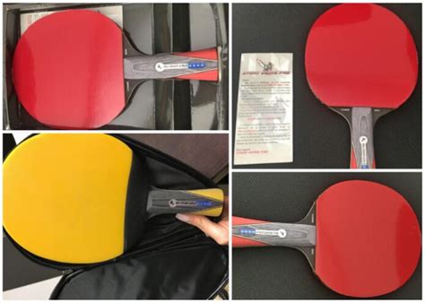 Top 11 Best Ping Pong Paddle For Beginners 2024 Best Models And Brands