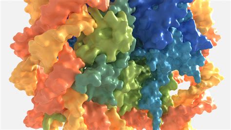 3d Nucleosome With Dna Turbosquid 2095781