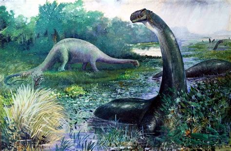The Mokele Mbembe And Other Congo Dinosaurs Jpt