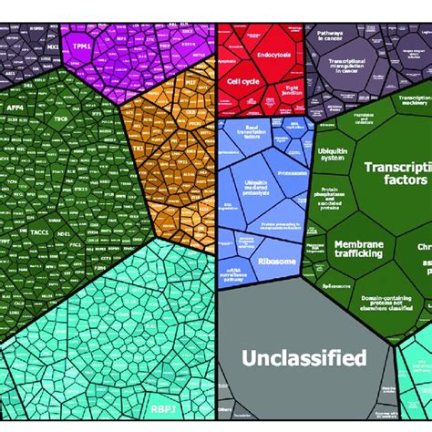 Mapping Of Krex Array Proteins To Kegg Categories Kegg Pathway And Download Scientific Diagram