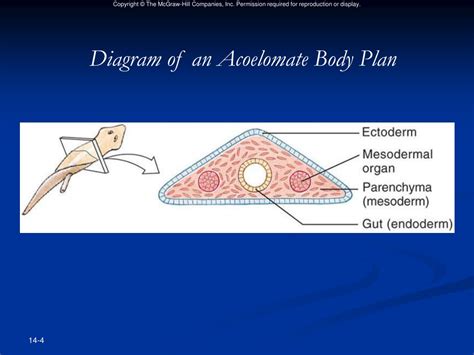 Ppt Chapter 14 Powerpoint Presentation Free Download Id 9493752