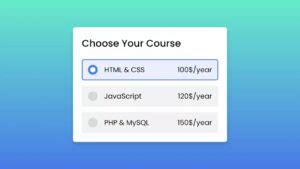 Custom Radio Button Using Html Css