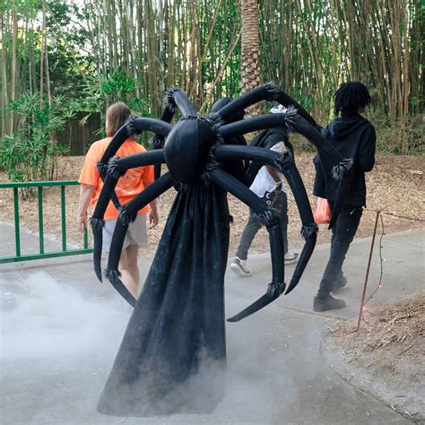 Book Now Spider Character Scarlett Entertainment