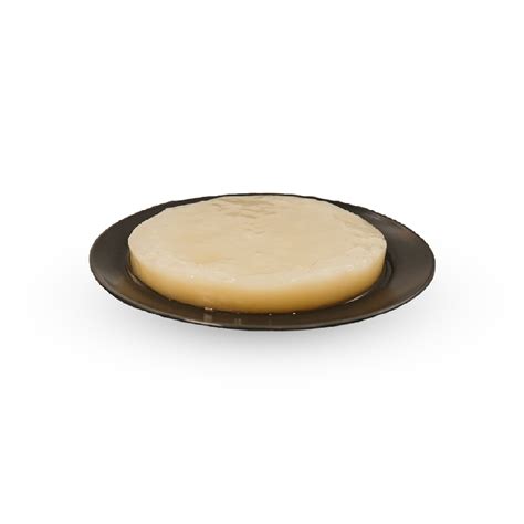 Scoby For Kombucha Brewing Vakka