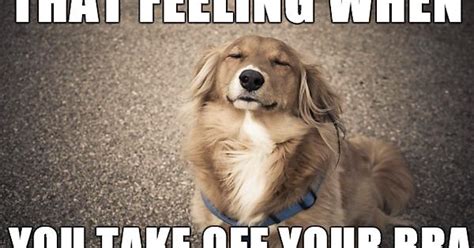 Freedom Meme On Imgur