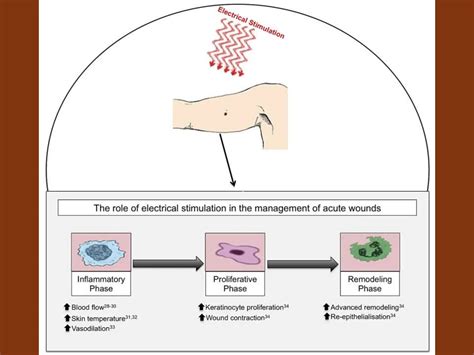 Zero Volt Therapy An Extremely Detailed Analysis Pptx