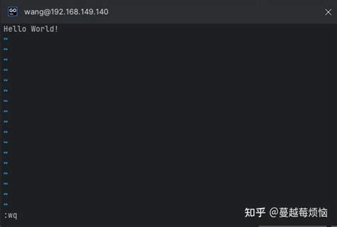 GoLand远程开发IDE使用SSH远程连接服务器进行云端编程 知乎