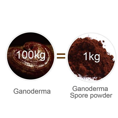 Bf Suma Africa Whats Ganoderma Spores Ganoderma Spore Is Often Called King Of Herbs Or The