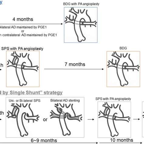 Surgical Technique Of Pulmonary Artery Reconstruction A Direct Download Scientific Diagram