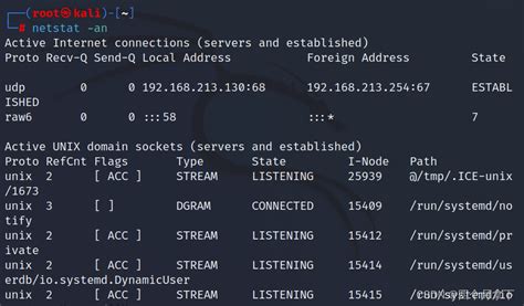 linux——kali系统简介及命令 kali linux csdn博客