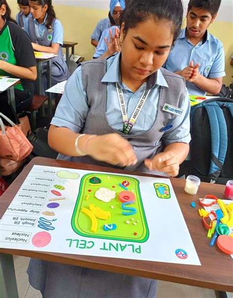 Stemeducation Plantcell Angelsvalleyschool Futurebiologists Stemlearning Handsonlearning