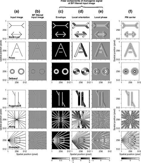 Polar Spherical Components Of Monogenic Signals Of The Download
