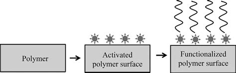 A Schematic Representation Of Surface Modification Download Scientific Diagram