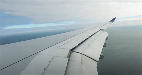 A330 900 Wing Textures Airbus A330 900 X Planeorg Forum