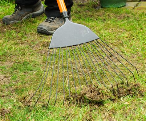 How To Scarify A Lawn Expert Tips For A Professional Finish Homes