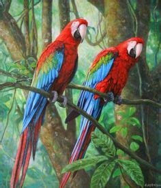 42 Ideas De Guacamayas Arte De Aves Loros Aves De Colores