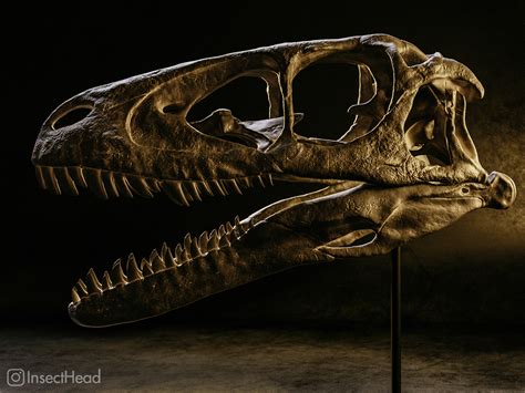 Deinonychus Skull Replica