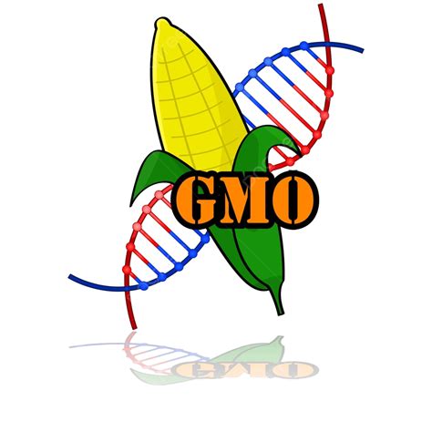 Genetically Modified Corn Molecule Disease Sign Vector Template