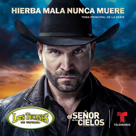 ‎hierba Mala Nunca Muere Música Original De La Serie El Señor De Los