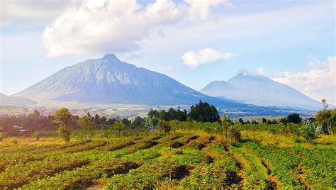 Mount Karisimbi And A Hike To The Highest Peak In Rwanda