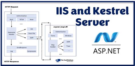 What Is The Difference Between Iis And Kestrel Servers In Aspnet