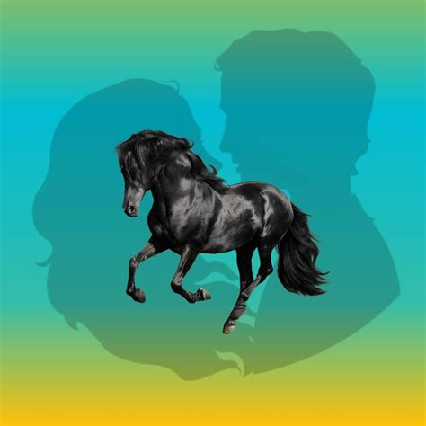 حکیم مجید دواخانہ