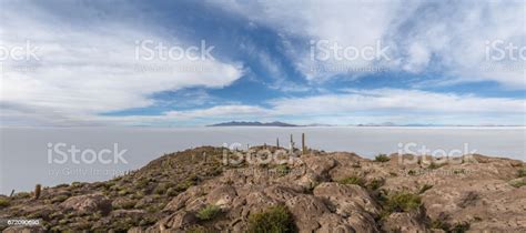 Panoramic View Of Incahuasi Cactus Island In Salar De Uyuni Salt Flat