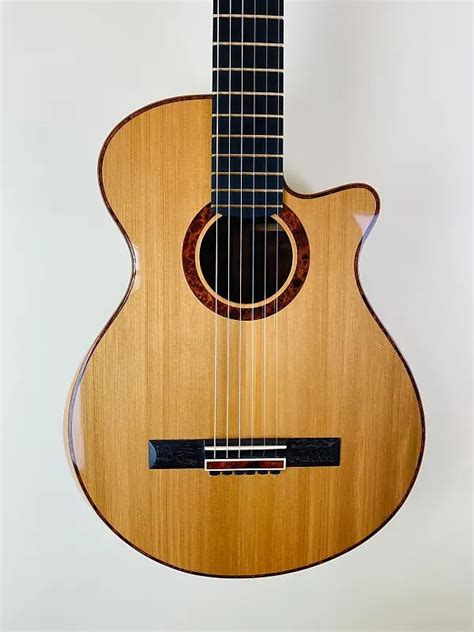 Laurie Williams Nylon String Classical Crossover Ancient Kauri Ameritage Case Reverb Nylon