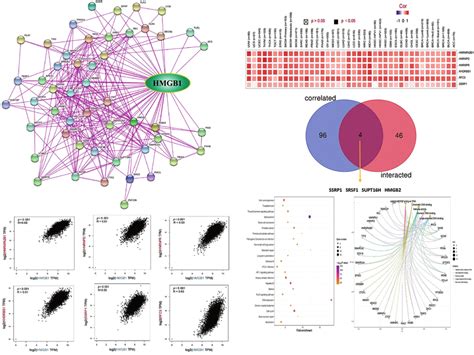 Hmgb1 Enrichment And Pathway Analysis A String Protein Network