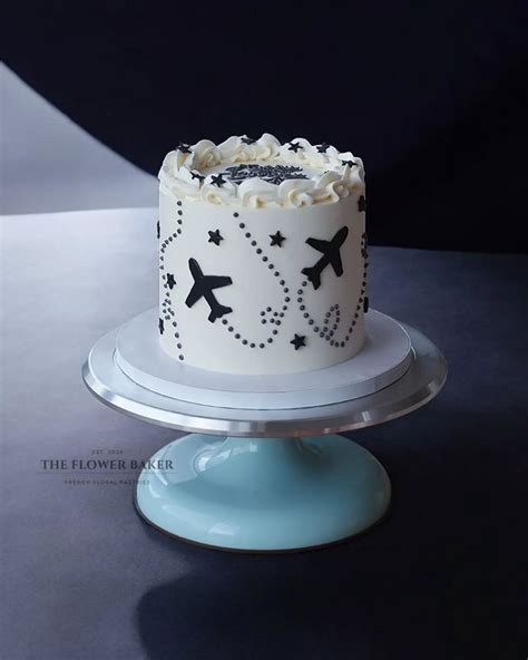 Airplane Cake Ideas Aviation Cake Ideas Flight Cake Plane Cakes