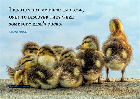 Ducks In A Row Quotes
