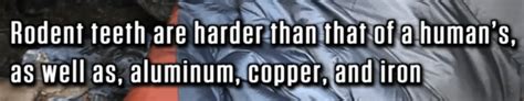 Ive Said It Before A Lot Of The Captions Are Really Bad Some Are