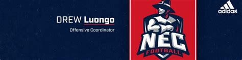 Andrew Luongo Offensive Coordinatorqbs At New England College Linkedin