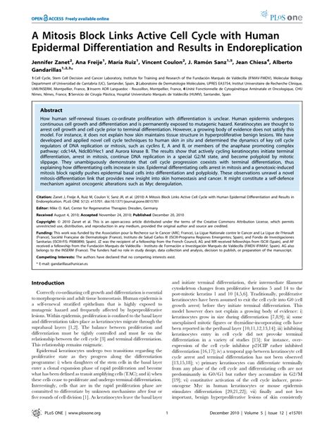 Pdf A Mitosis Block Links Active Cell Cycle With Human Epidermal Differentiation And Results