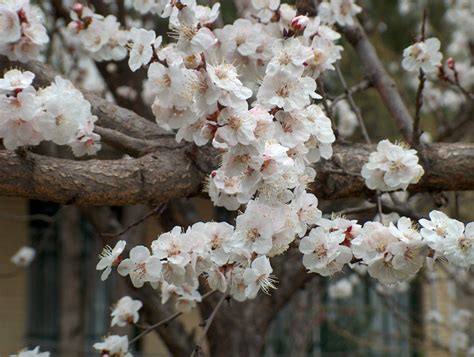 Spring Signs In School Of Physics