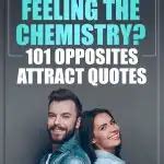 Opposites Attract Quotes Proving Love Conquers All Subconscious Servant