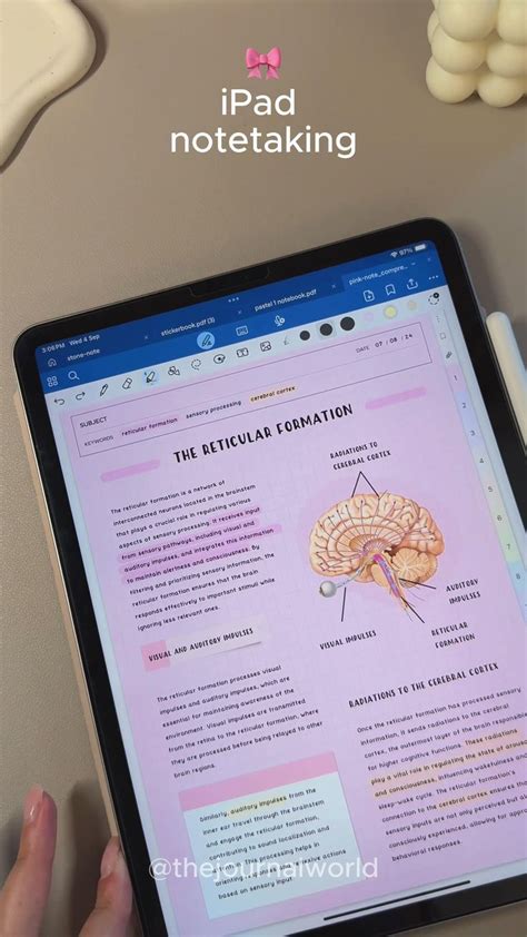 All In One Student Bundle Undated Planner Study Notes Templates For