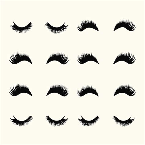 Premium Vector Eye Lashes Vector