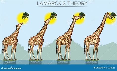 Giraffe Evolution Stock Vector Illustration Of Life 249804249