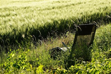 Premium Photo Grass On Field