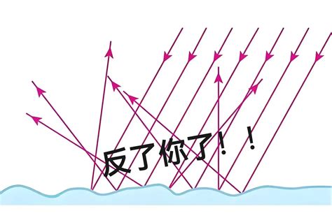 物理包过表情包 抖音