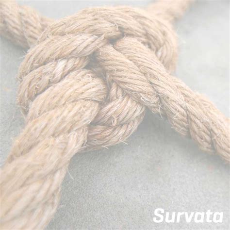 Tying Viewability And Persuasion Analytics Upwave Teams With Oracle Data