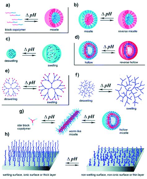 Ph Responsive Polymers Of Different Architectures A Unimer Micelle Download Scientific