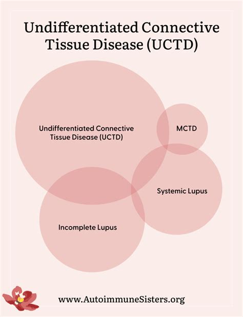 Connective Tissue Disease Connective Tissue Disorders Impact And