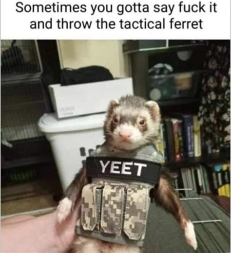 The Tactical Ferret Of Yeet Bossfight