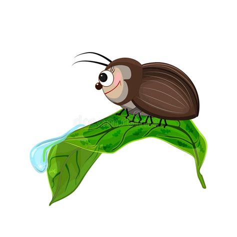 Funny Brown Beetle Stock Illustrations 437 Funny Brown Beetle Stock Illustrations Vectors