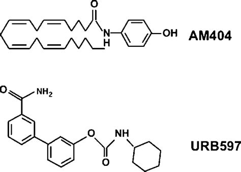 Figure 3 From The Endogenous Cannabinoid System And The Treatment Of